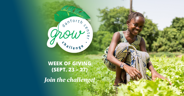 Grow Challenge 2024